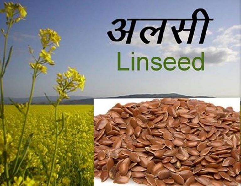 अलसी के असरकारी नुस्खे - आयुर्वेदप्लस | AyurvedPlus.com