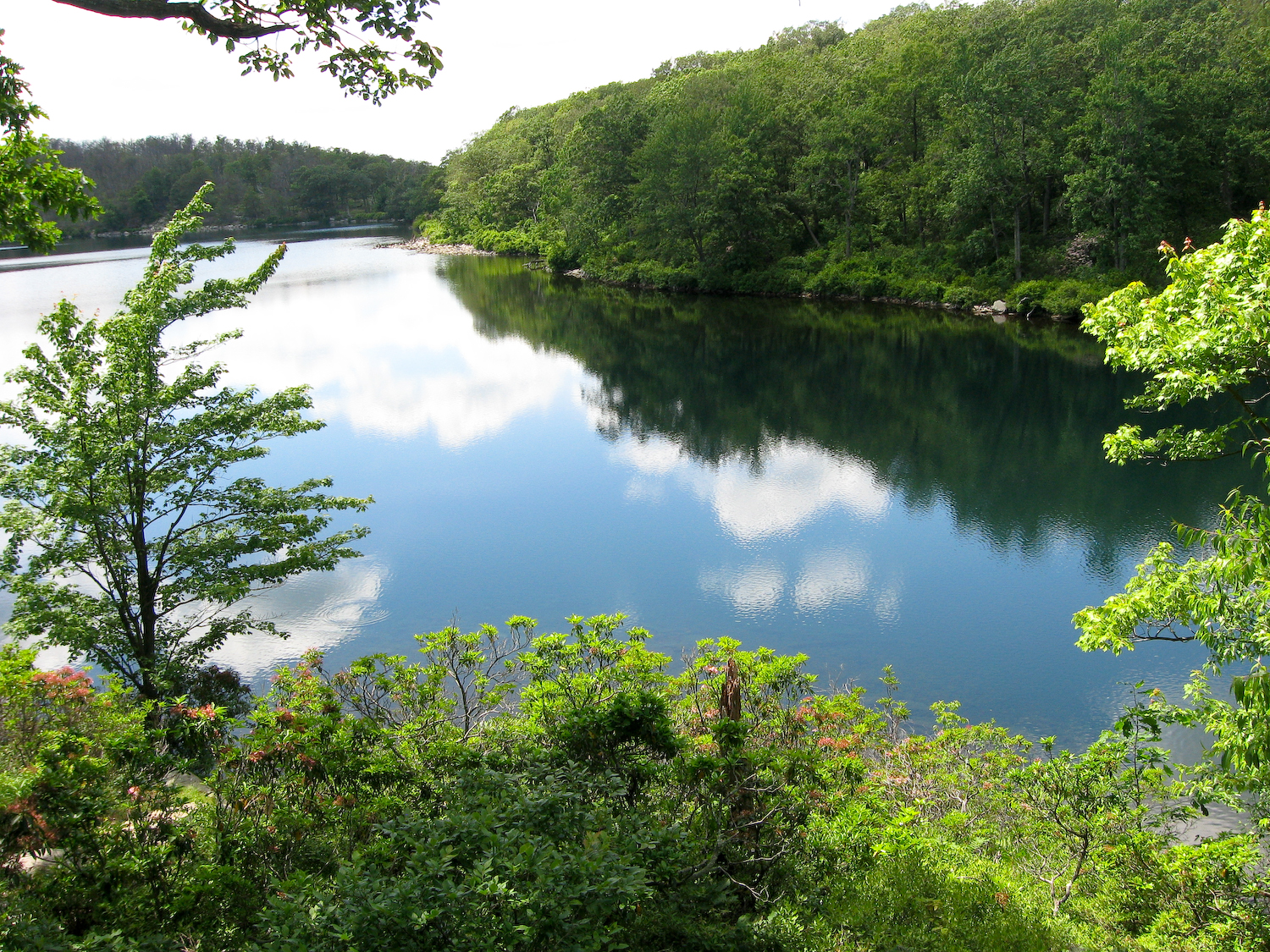 Let It Shine: Mount Tammany to Sunfish Pond, Delaware Water Gap