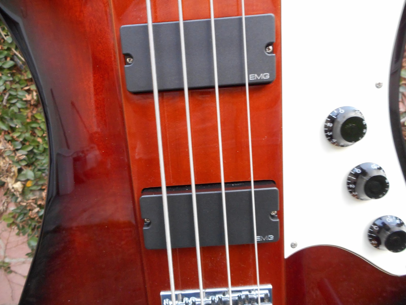 Rex and the Bass: ESP Standard Series Phoenix II B Electric Bass Review
