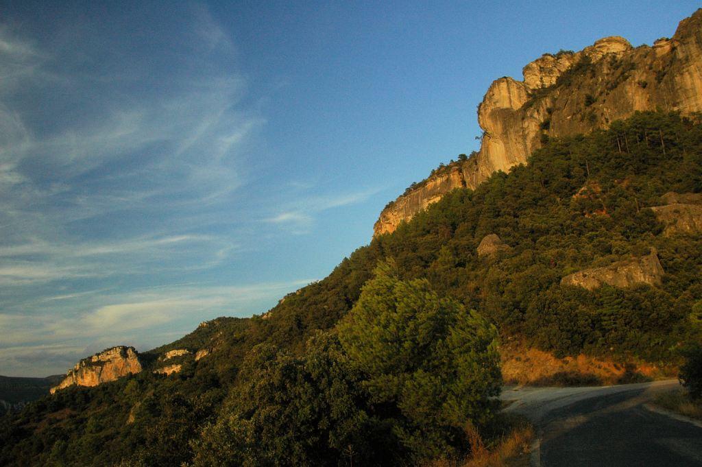 Muntanyes de Prades. Excursions naturals.: Arbolí.