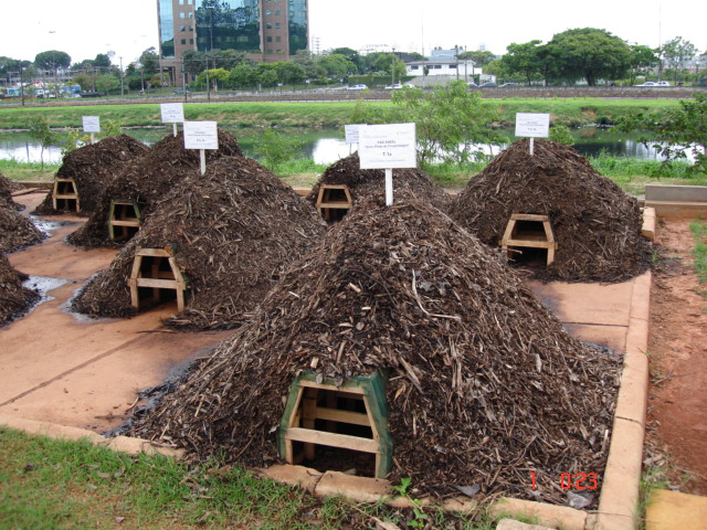 Compostagem ~ Rede de Gestão Sustentável