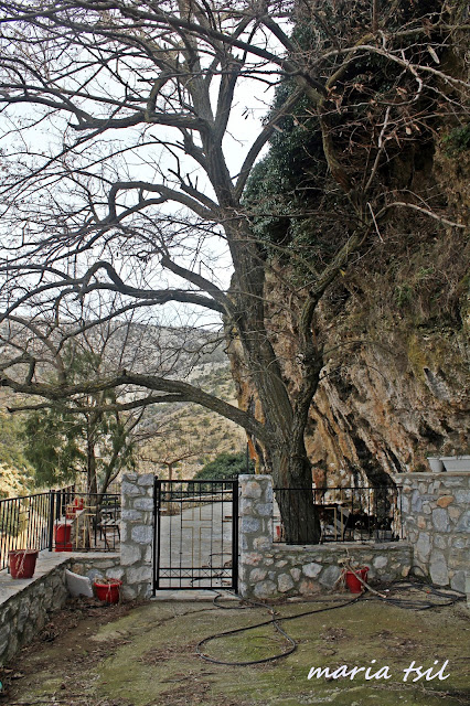 ΜΙΑ ΒΟΛΤΑ ΣΤΗΝ ΣΠΗΛΙΑ ΤΟΥ ΚΙΣΣΑΒΟΥ | TRIPS AND DREAMS by MARY