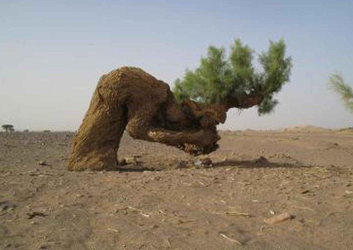 ISLAMIC WALLPAPERS | القرآن الكريم | MIRACLES OF ISLAM | HD ISLAMIC ...