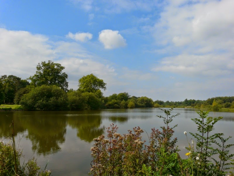Cindy's Snaps: Hatfield Forest (stomping ground of my Hatfield Broad ...