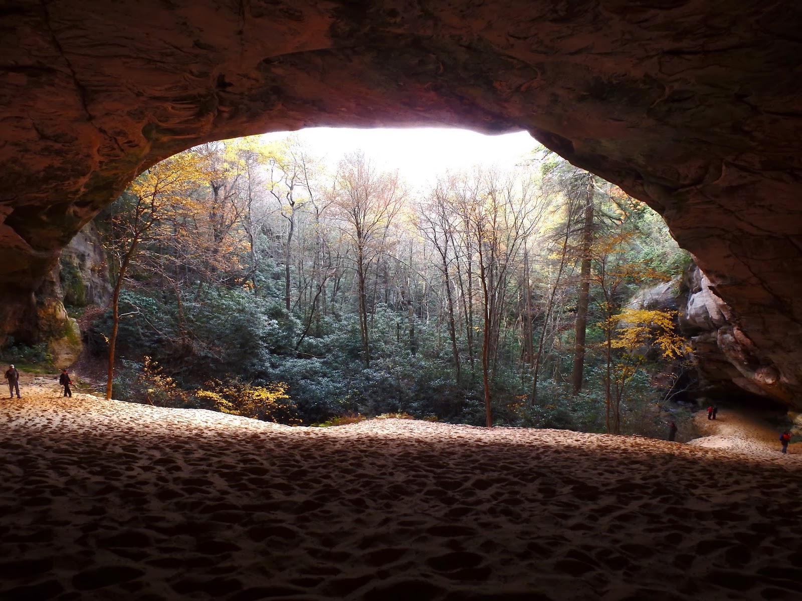 Lee County Hiking Club: Sand Cave and White Rocks