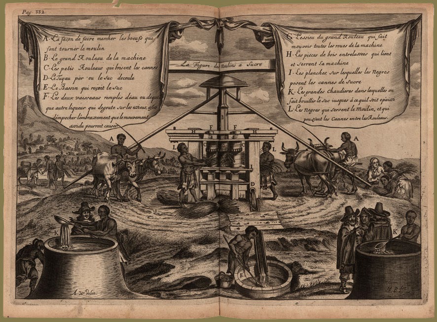 Empress Maria Theresa: Plantation Systems of the Colonial Period