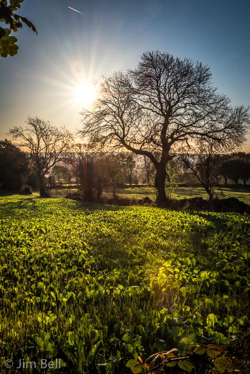 Out & About: Fritchley Windmill