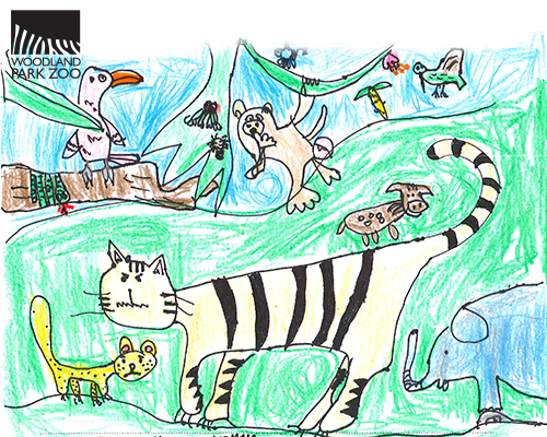 Tiger Tails drawing contest winners!