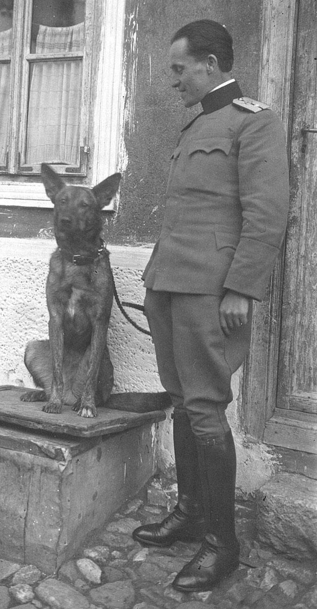 NAZI HOLOCAUST FILMS: HITLER Y LOS ANIMALES