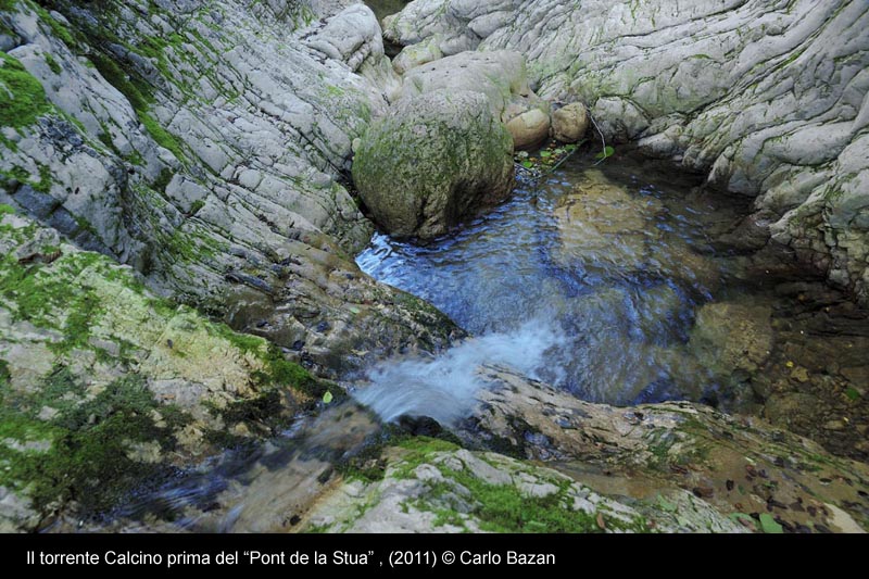 Val Calcino: Il Torrente Calcino, di Carlo Bazan