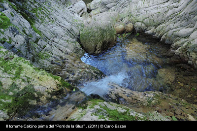 Val Calcino: Il Torrente Calcino, di Carlo Bazan