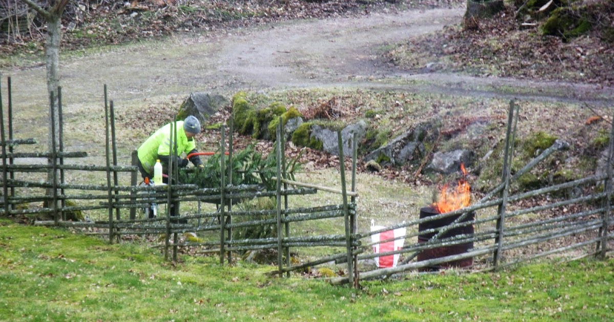 Steve reflekterar: Vårstädning