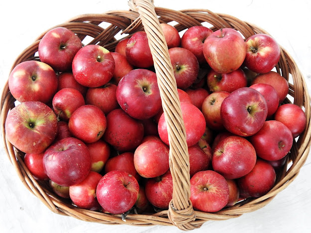 PASARI DIN ROMANIA: MERE ROSII