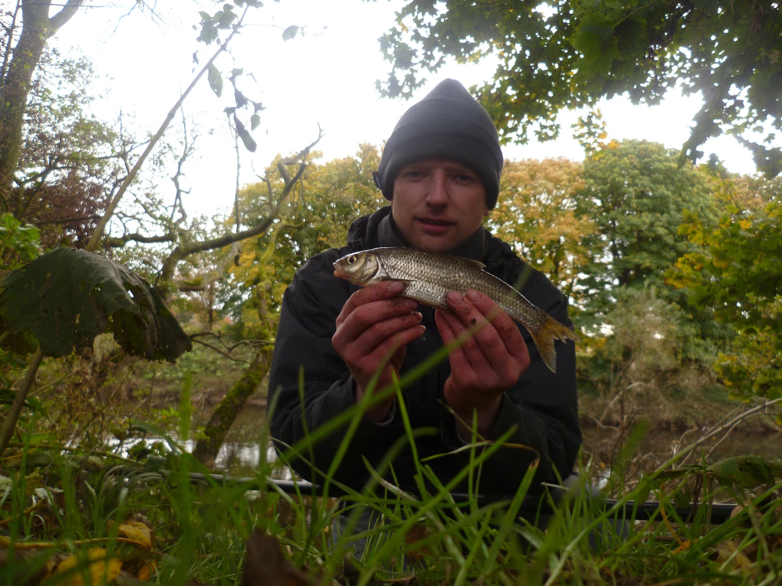River Angler: Big river dace