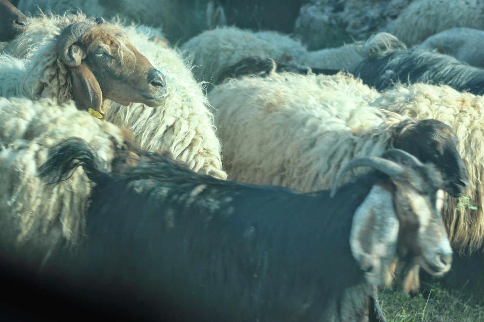 St Mary Our Lady: May 2014