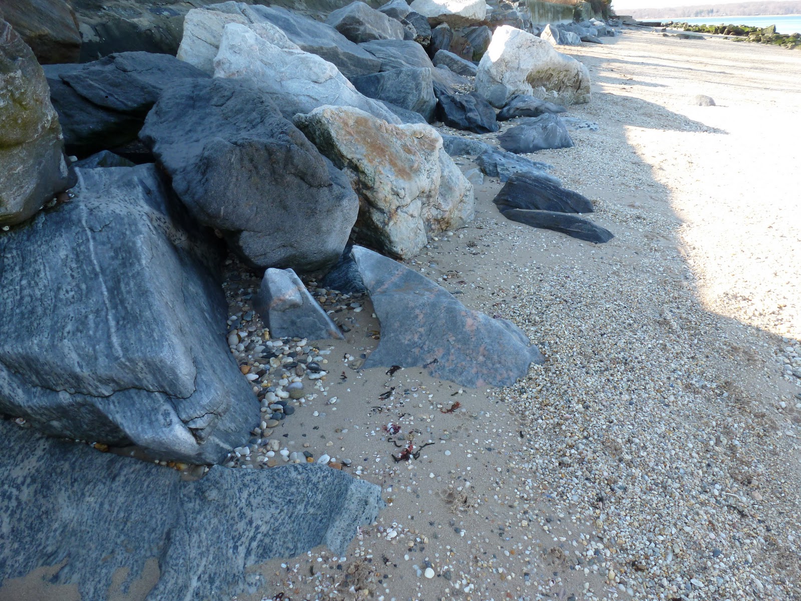 Jarvis House: Walking the Beaches of Long Island in the New Year 2012
