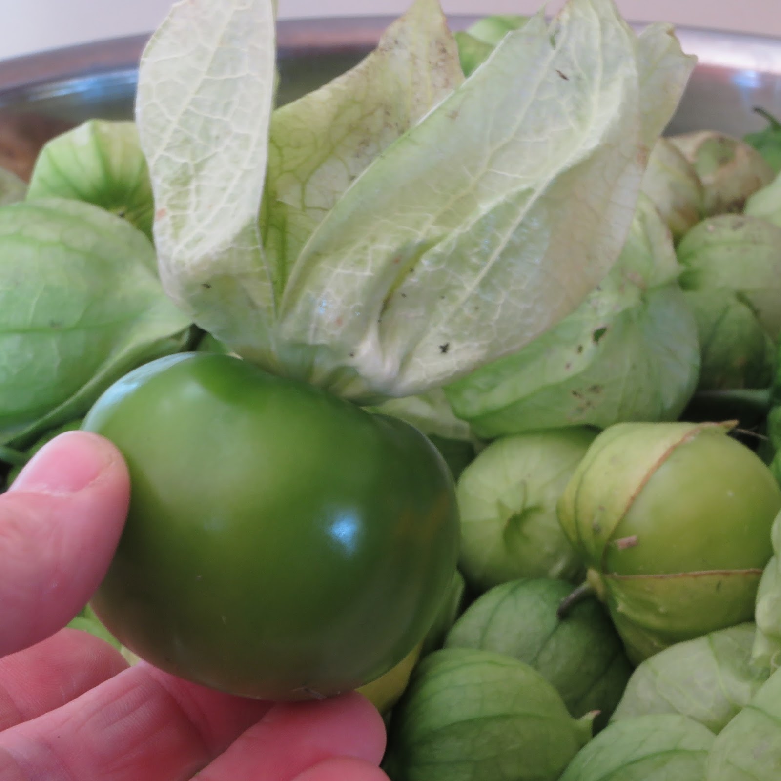 Tracy's Living Cookbook: Salsa Suiza