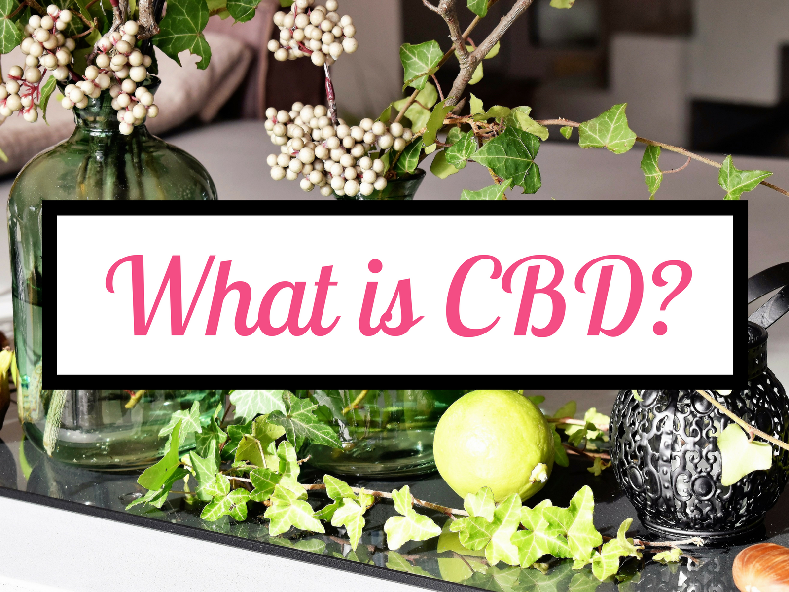 What is CBD?