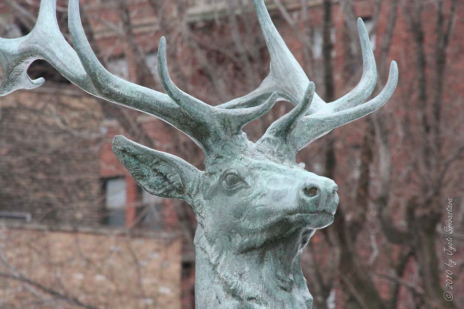 Chicago - Architecture & Cityscape: The Elks National Memorial ...