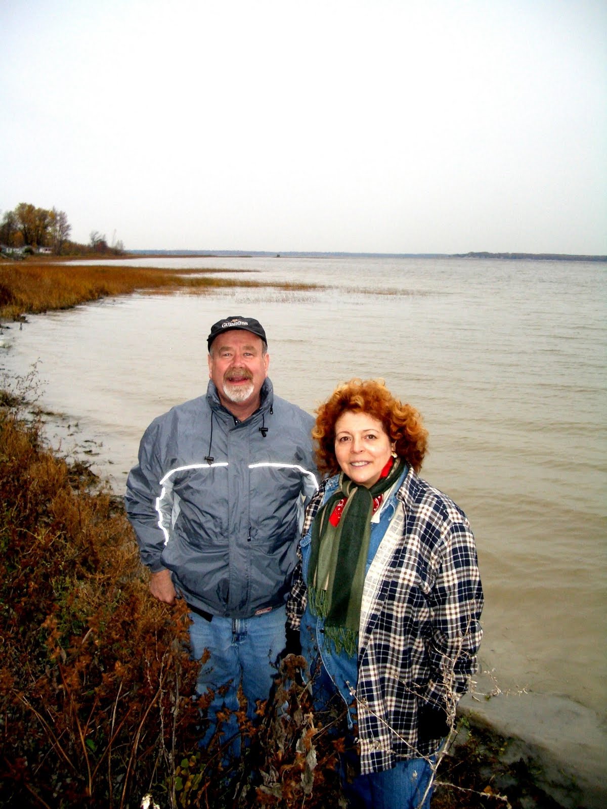 Dinochick Blogs: 2011