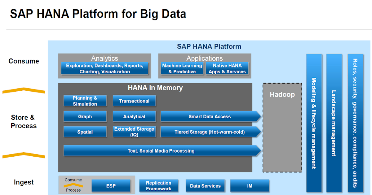SAP INSTITUTE: Supported Platform, Hardware, Dsatabasde & Operating ...