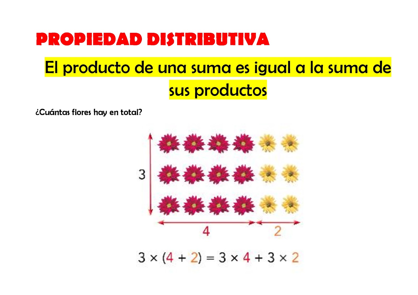 Hoja De Trabajo De Propiedad Distributiva De Quinto Grado Propiedad