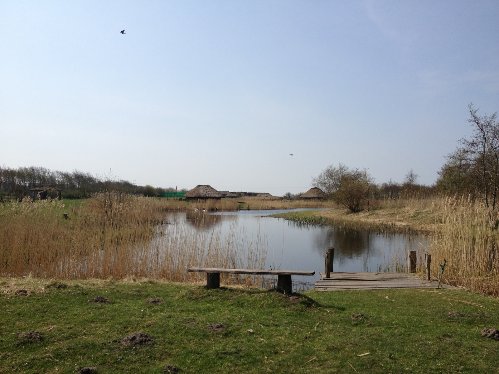 Thegns of Mercia: Denmark Trip 2013