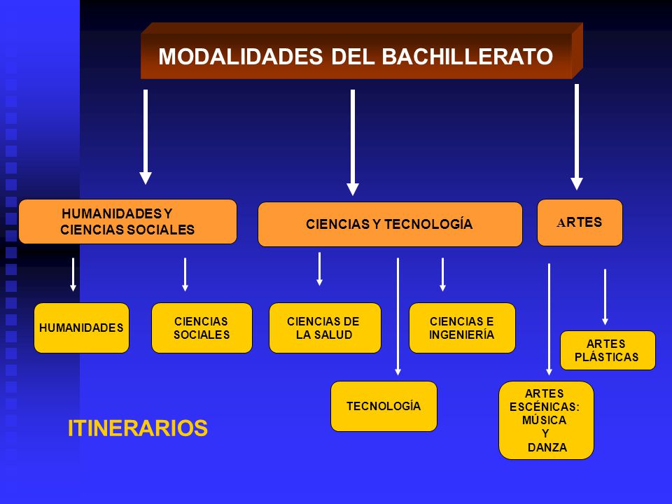1º Bachiller - Modalidades del Bachillerato