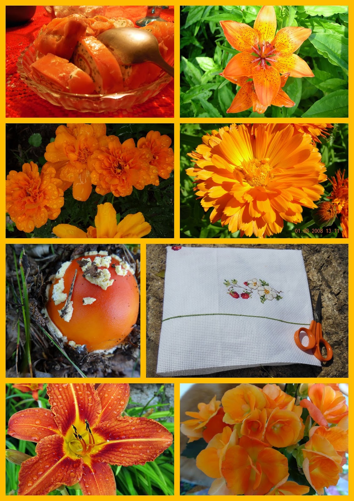 Lasillinen mustia Kuningattaren helmiä: Värikollaasi: Oranssi