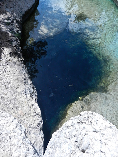 Taking the Plunge: Jacob's Well | KpLoving It