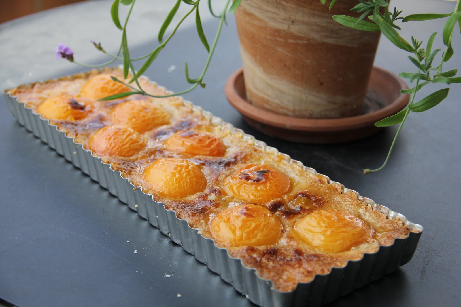 Hey, Lady Grey: Fresh Apricot Almond Tart