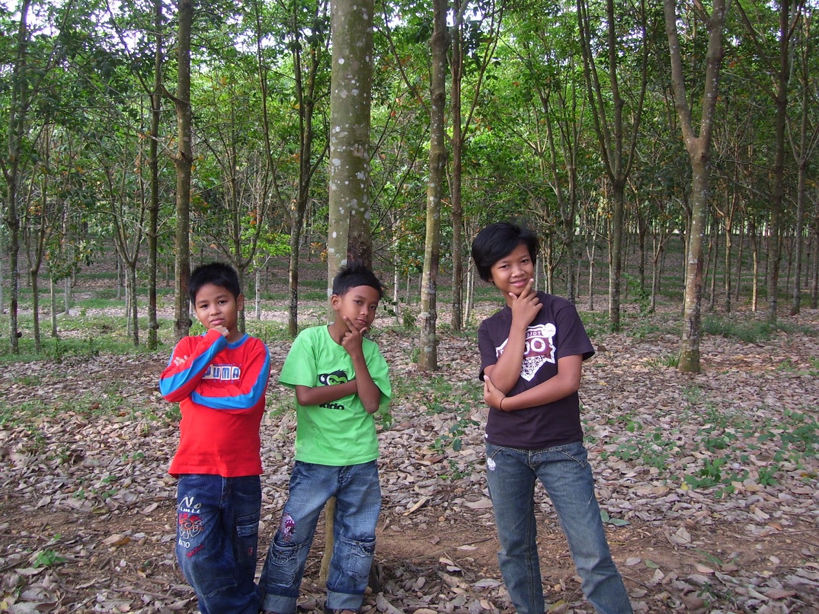 Kebun Karet Trikora, Lampung