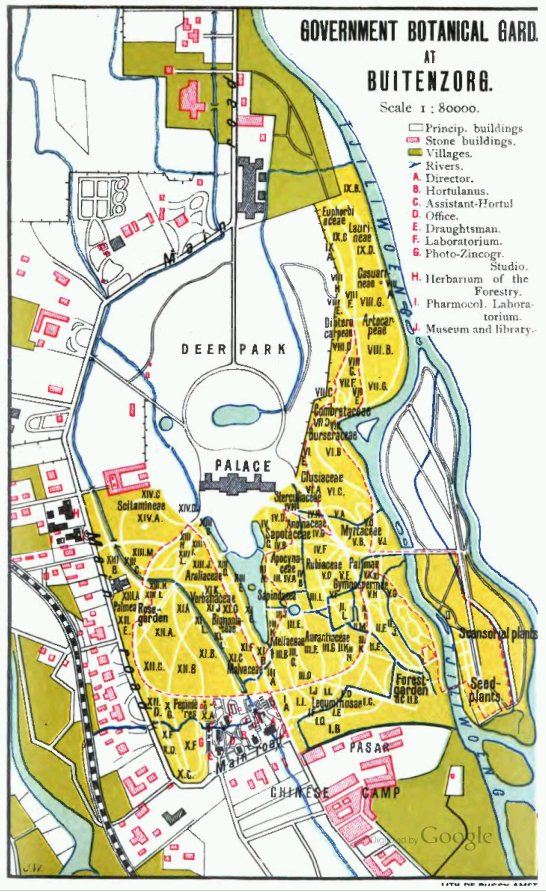 Indonesia Zaman Doeloe: Peta Kebun Raya Bogor dari akhir abad ke-19