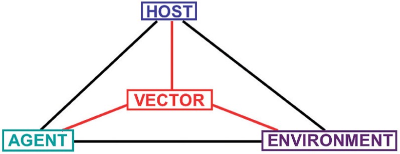 Epi-demio-logy: What is epidemiology?