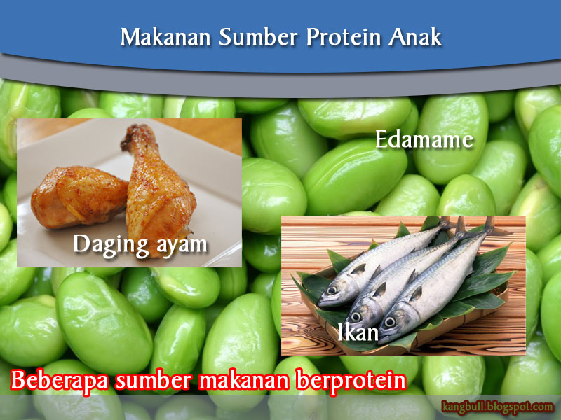 Apa Makanan Sumber Protein Untuk Anak? - Pojok Manfaat
