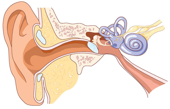 Case Study 4: Echoing in ears | Homoeomedic