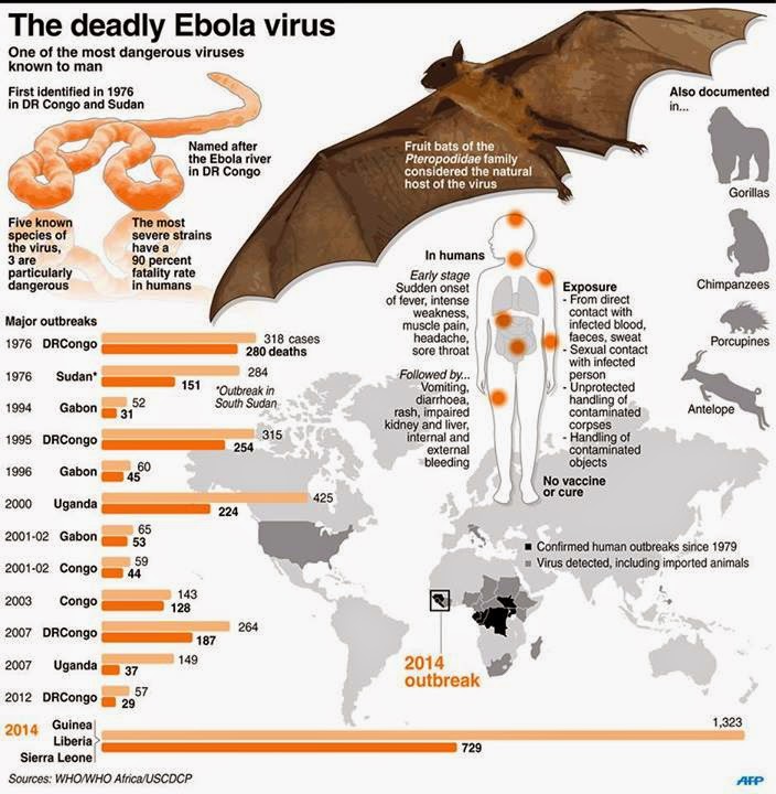 ebola virus | cause 2014 ~ infectious diseases