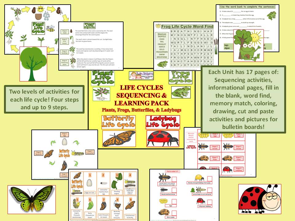 Twin Speech, Language & Literacy LLC: Life Cycle Sequencing & Learning ...