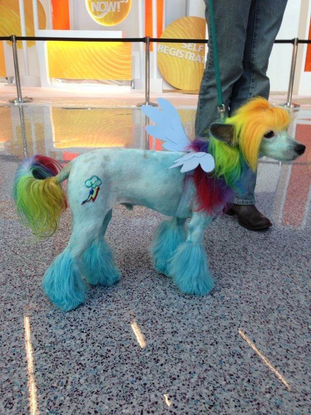 Equestria Daily - MLP Stuff!: Nightly Roundup #621