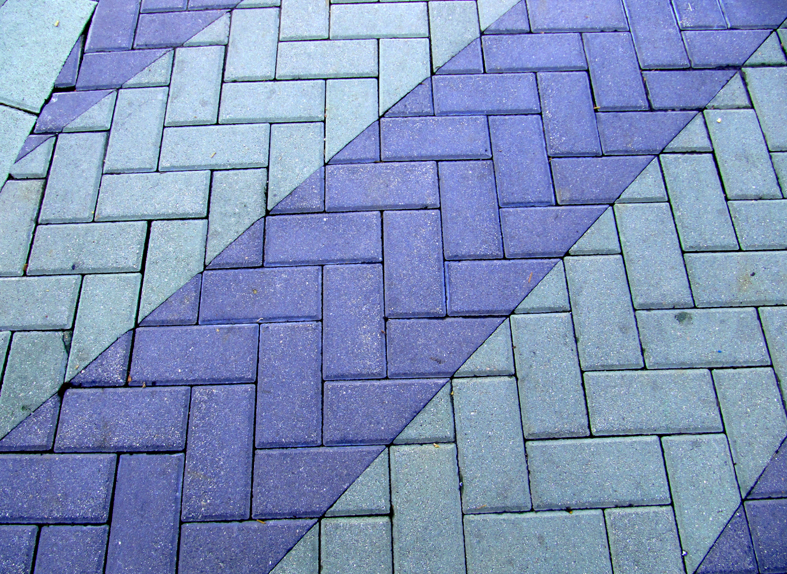 RENFRO Photography: February 2011