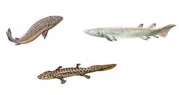 Período Devónico ~ Historia geológica de la tierra con Arturo ANONYMOUS