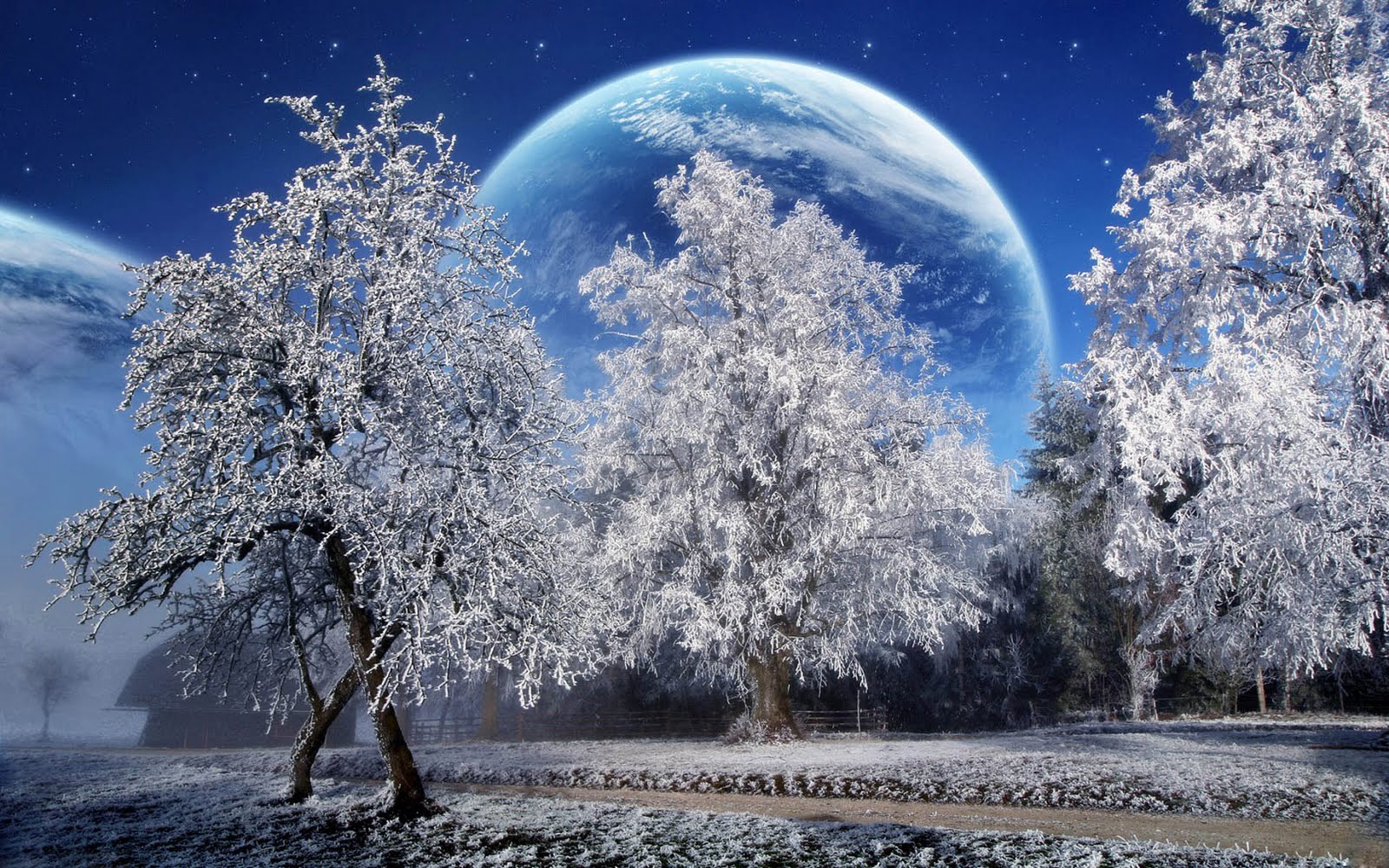 Winter Wallpapers for Desktop | Free Wallpapers