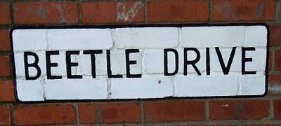 Craft and Activities for All Ages and Abilities!