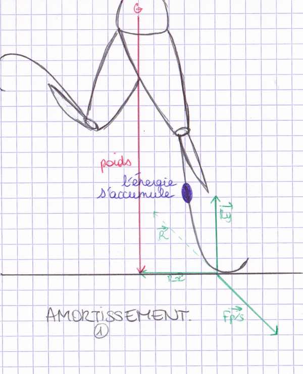 PROTHESE DE COURSE: Les forces s'exerçant sur la prothèse