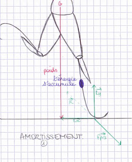 PROTHESE DE COURSE: Les forces s'exerçant sur la prothèse