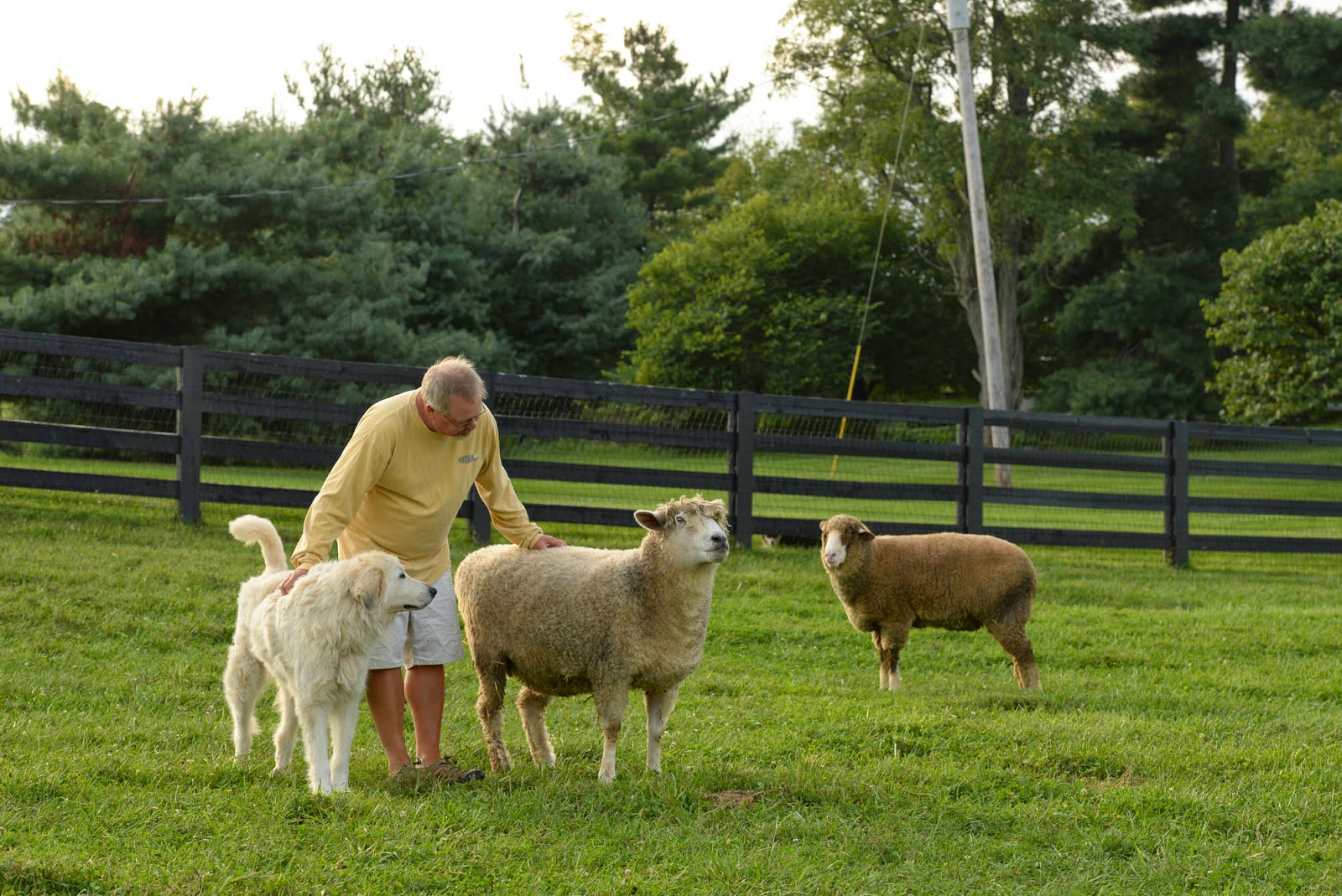 Punkin's Patch: Where Are They Now - Keebler And Hank