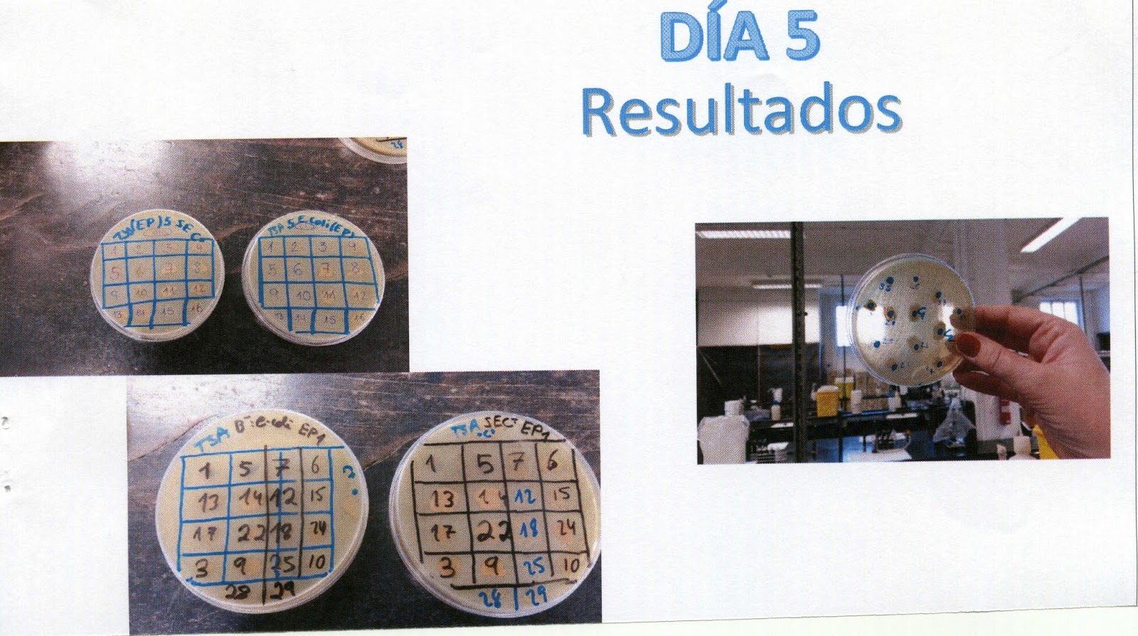 MicroMundo@UCM: 2017