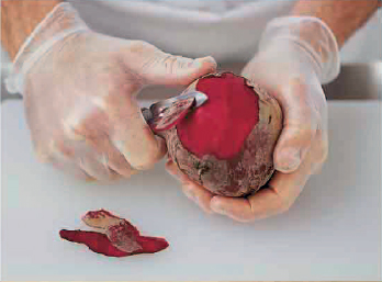 Techniques recipe -Taste USA