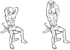 Muscle Palace: Top 5 Muscle-Building Triceps Exercises