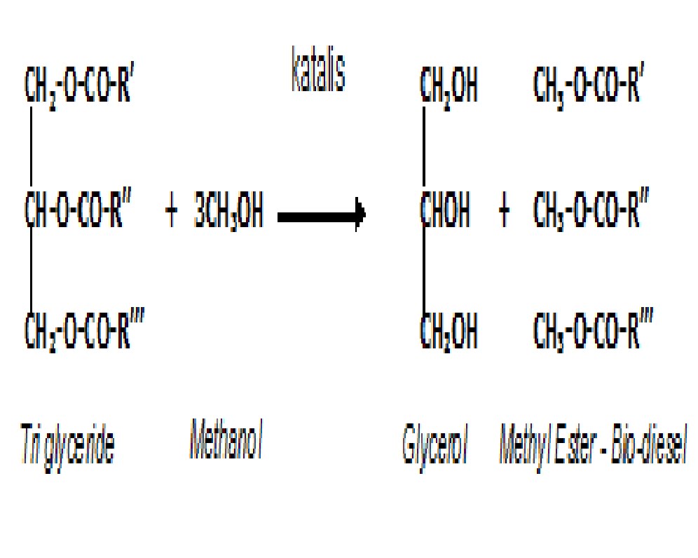 PRAMUDIA BLOG: BIODIESEL